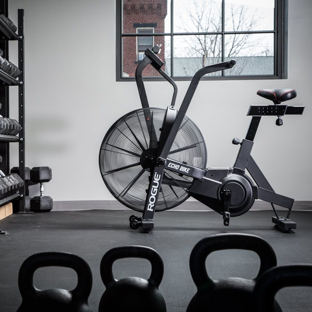 Rogue Echo Bike V3.0 | BodyStack