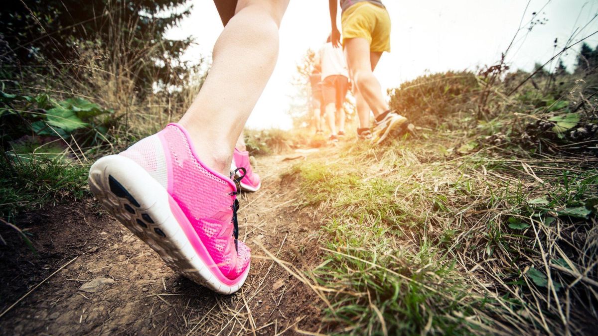 Intro to the baseline guidelines of BodyStack | BodyStack