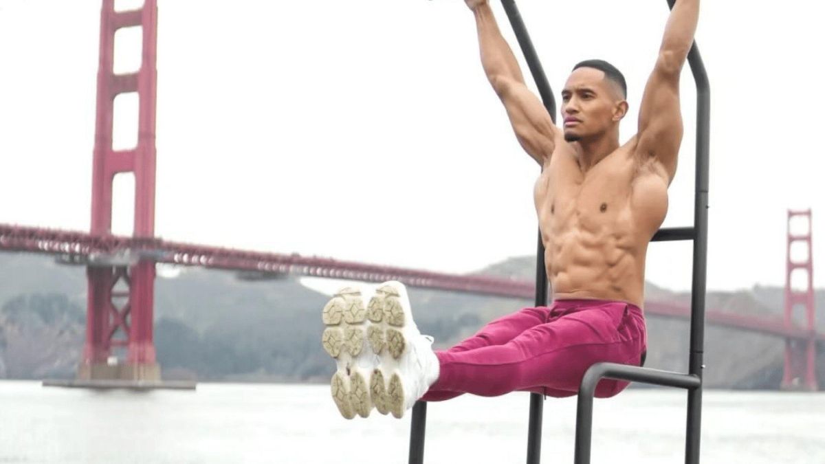 Dip, pull, and push your way to stronger muscles with the Fit! Home Gym ...